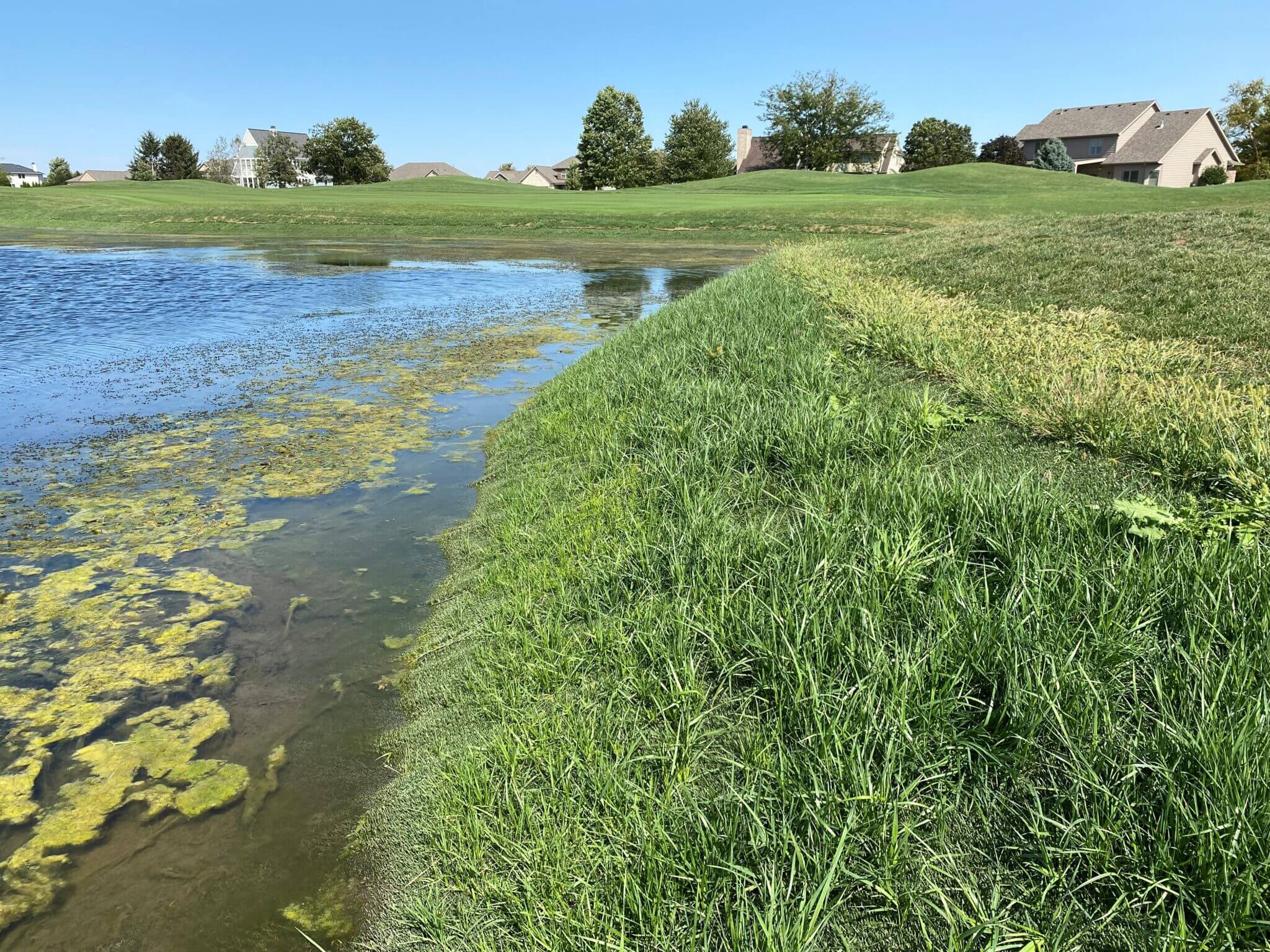 Pond Erosion Control - InstaTurf