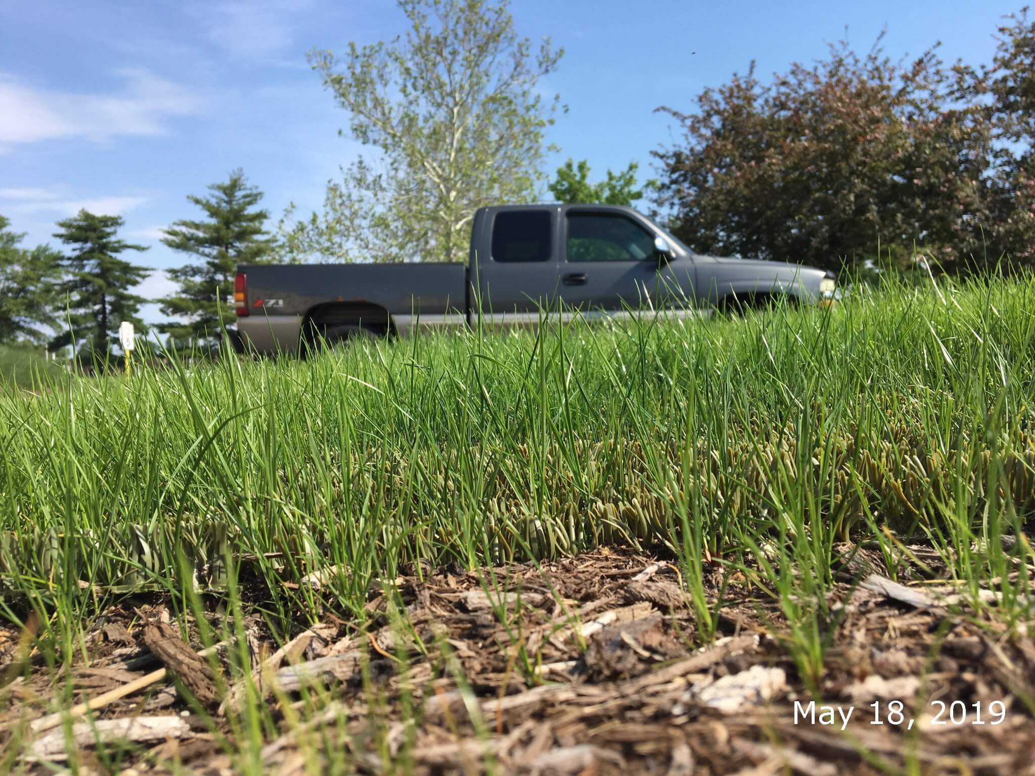 Residential Safety Aesthetics - InstaTurf