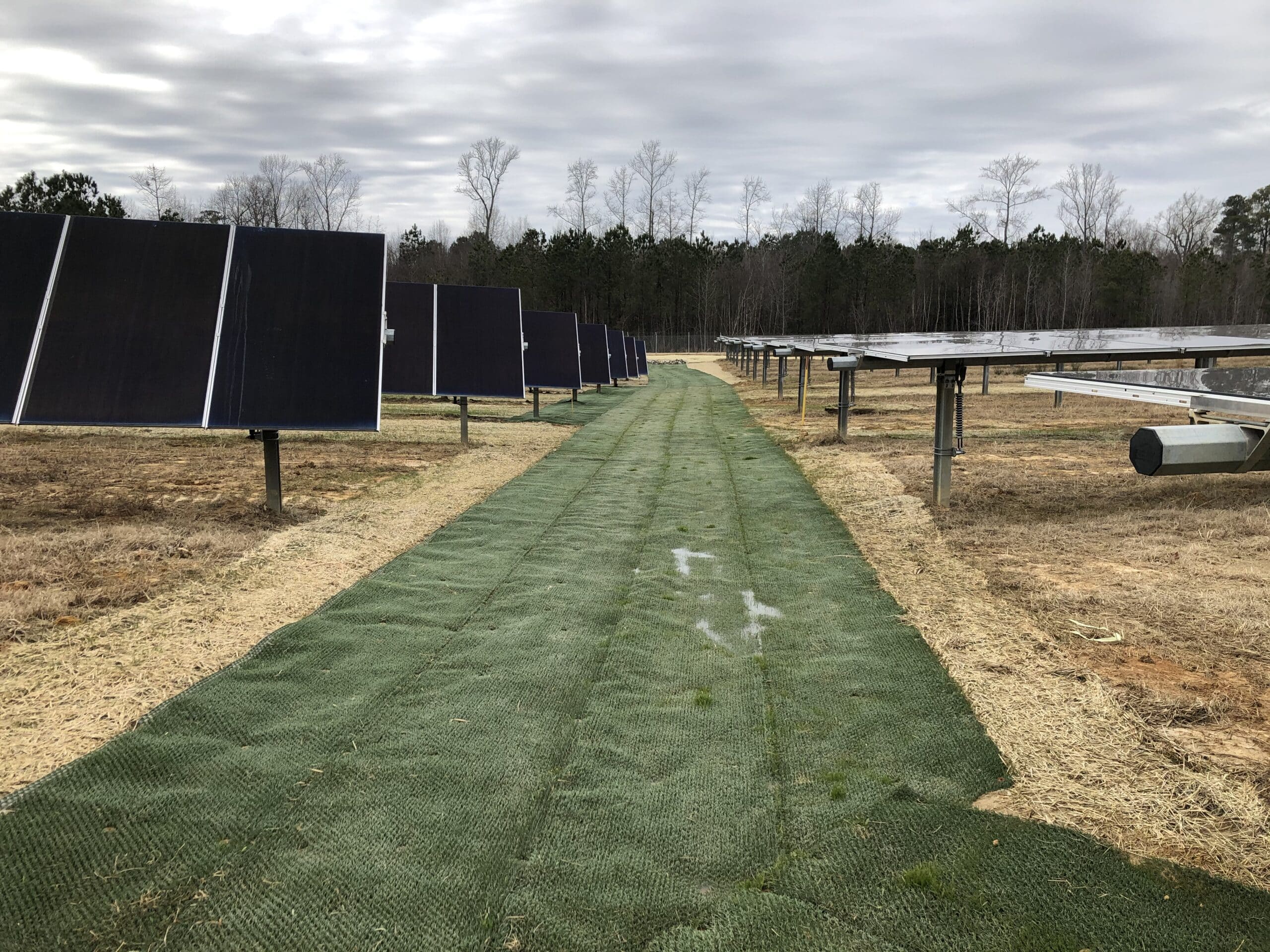 Pecan & Gutenberg Solar Farms - InstaTurf
