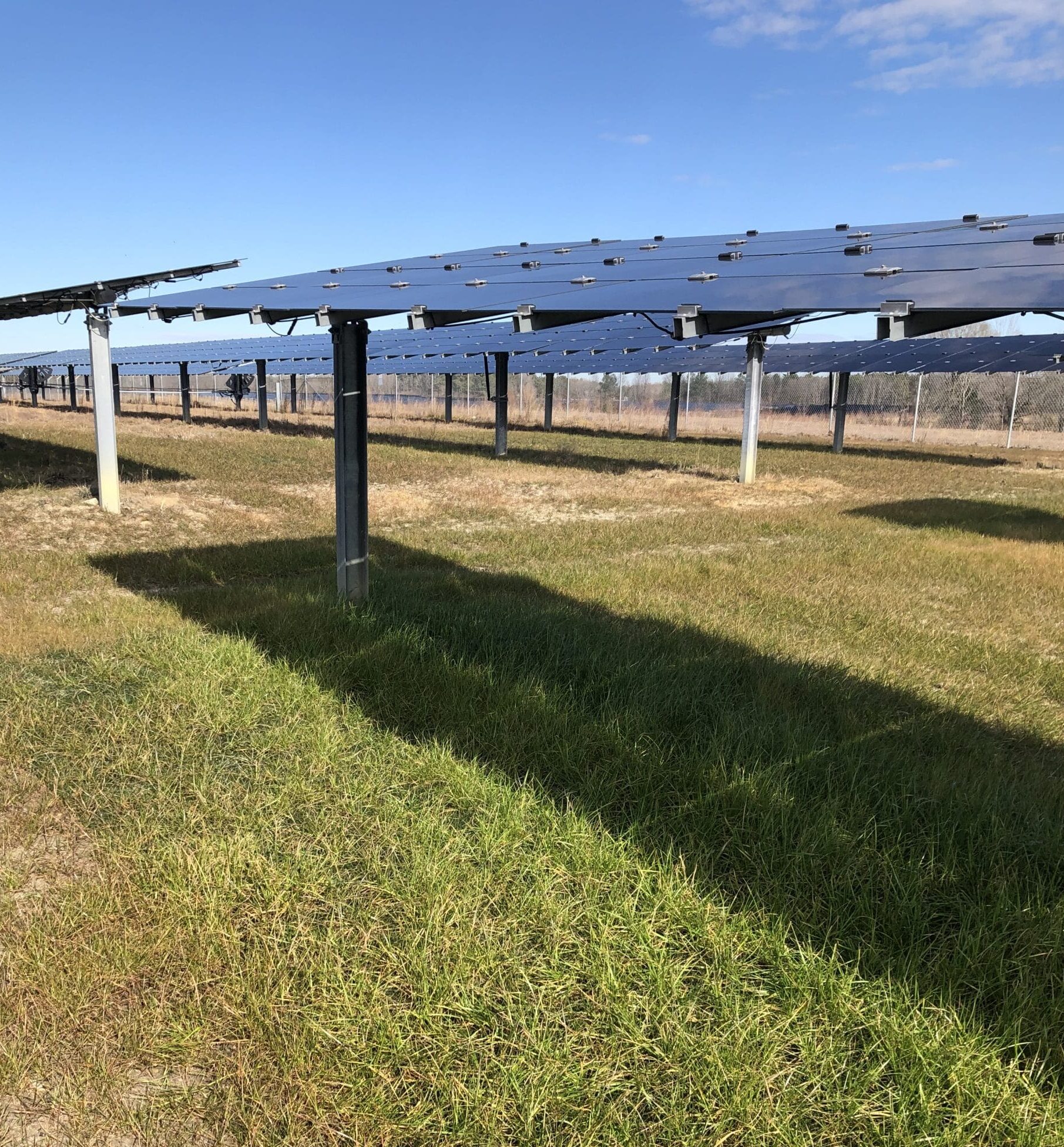 Peabody Streambank - InstaTurf